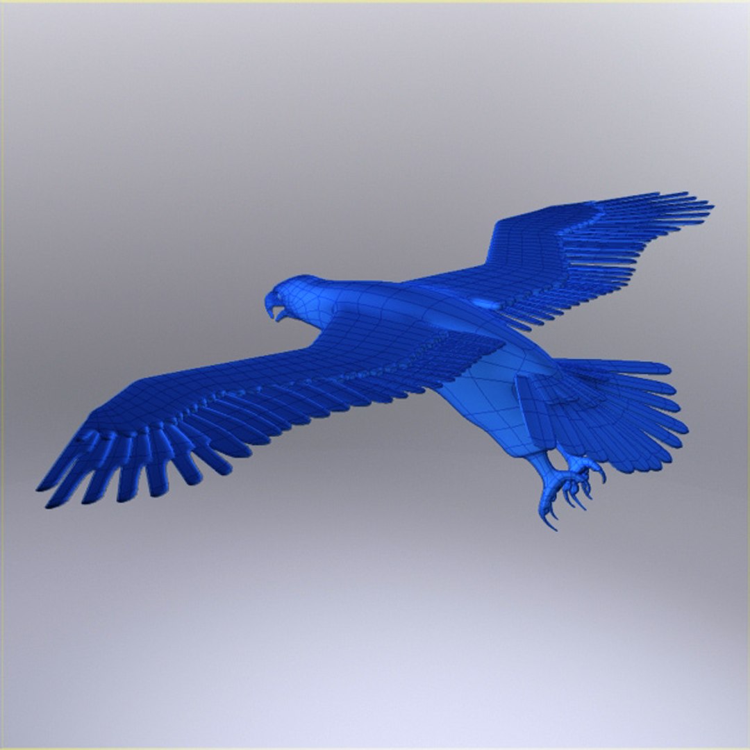 3d Bald Eagle