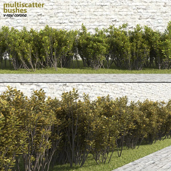Plants Proxy 3D Models for Download | TurboSquid