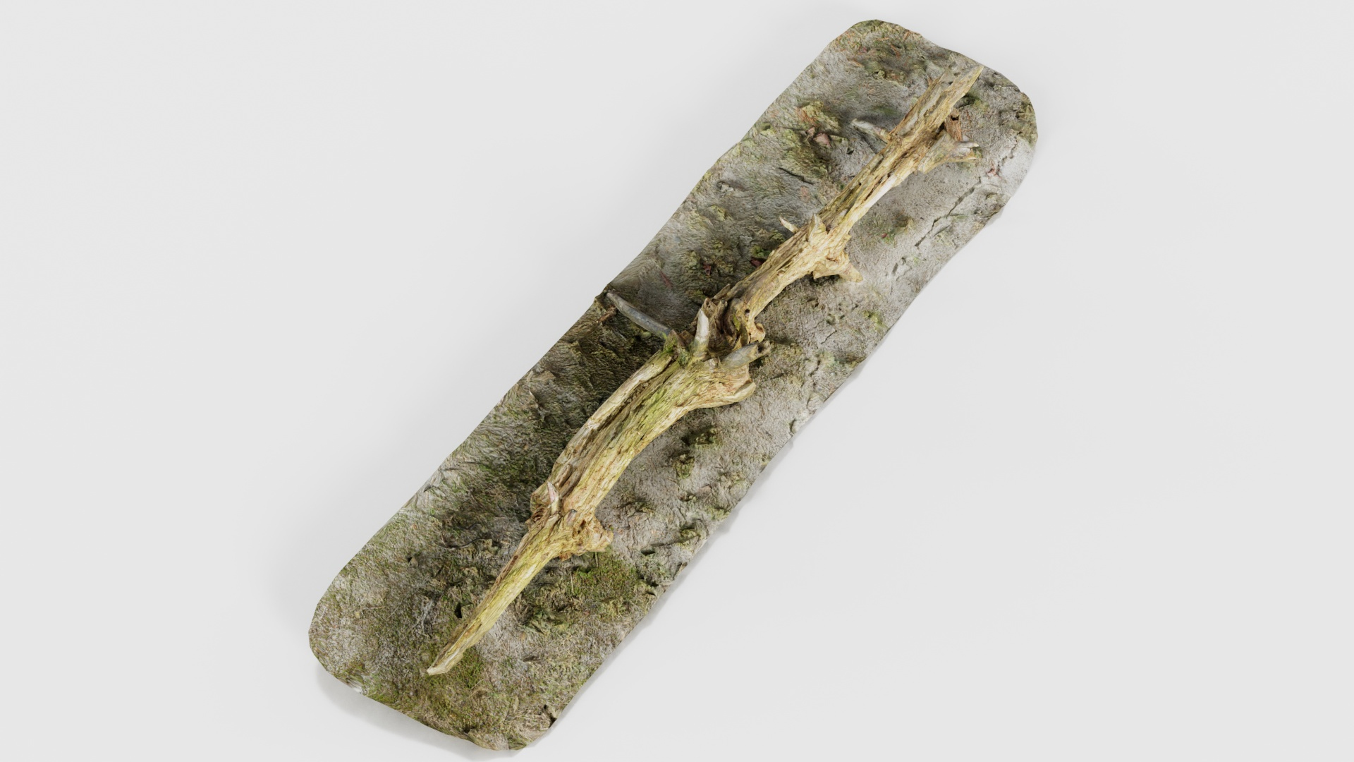 3D Ground Branch Split Remastered Model - TurboSquid 2363161