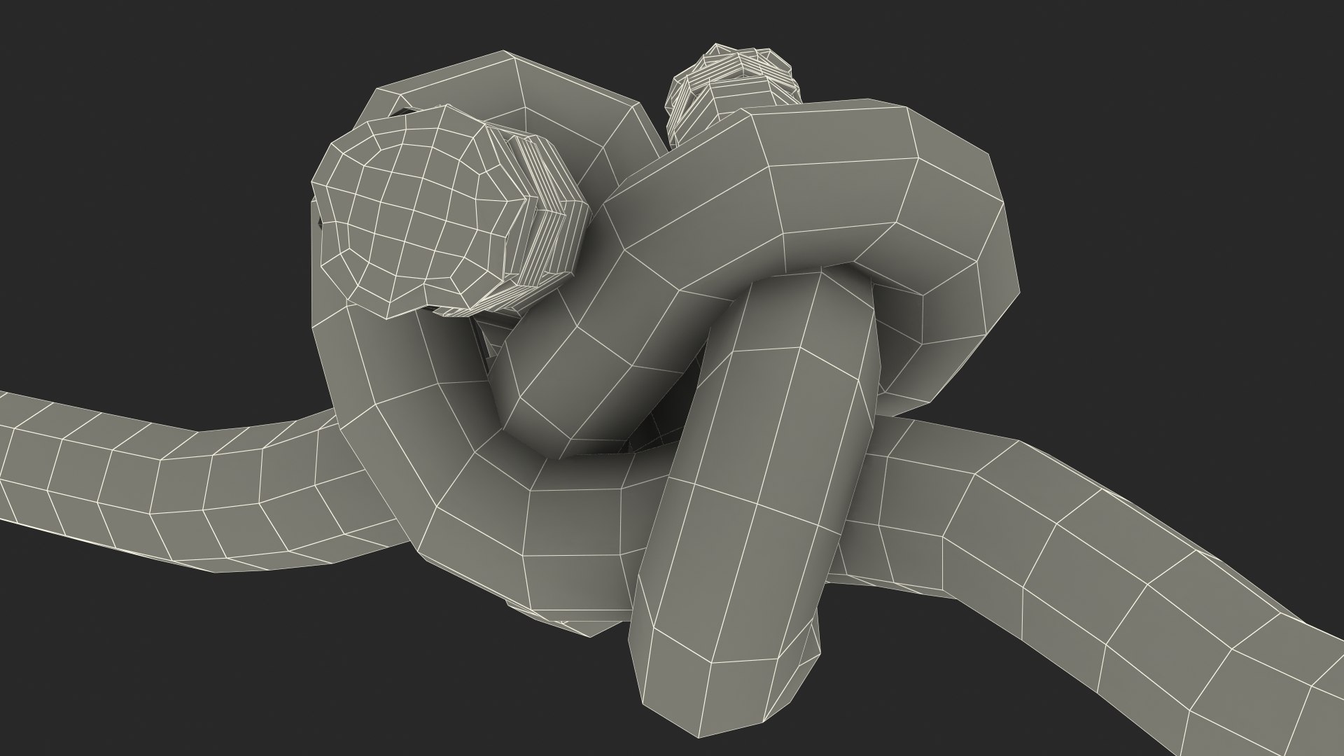 Carrick Bend Knot 3D Model - TurboSquid 1648518