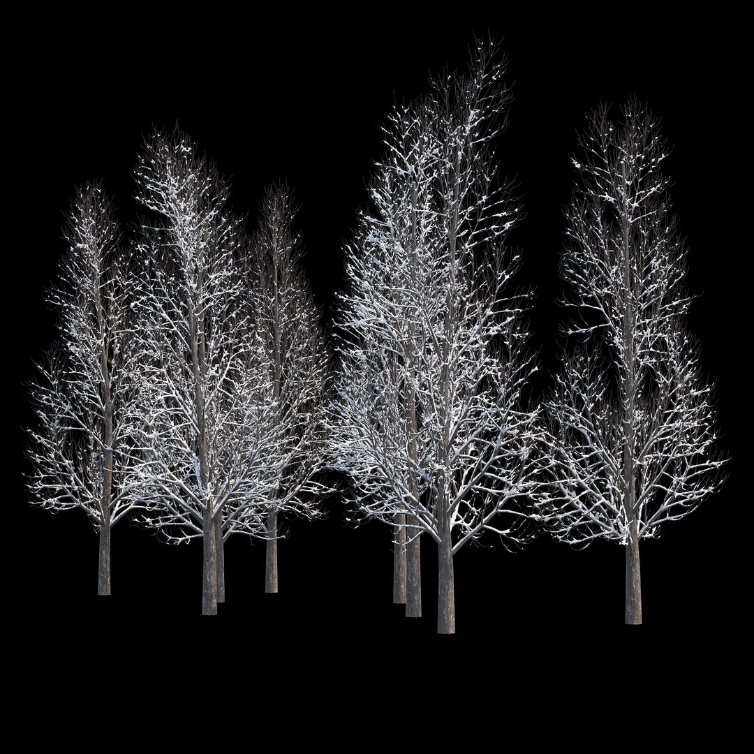 Winter tree 018 3D model - TurboSquid 1230435
