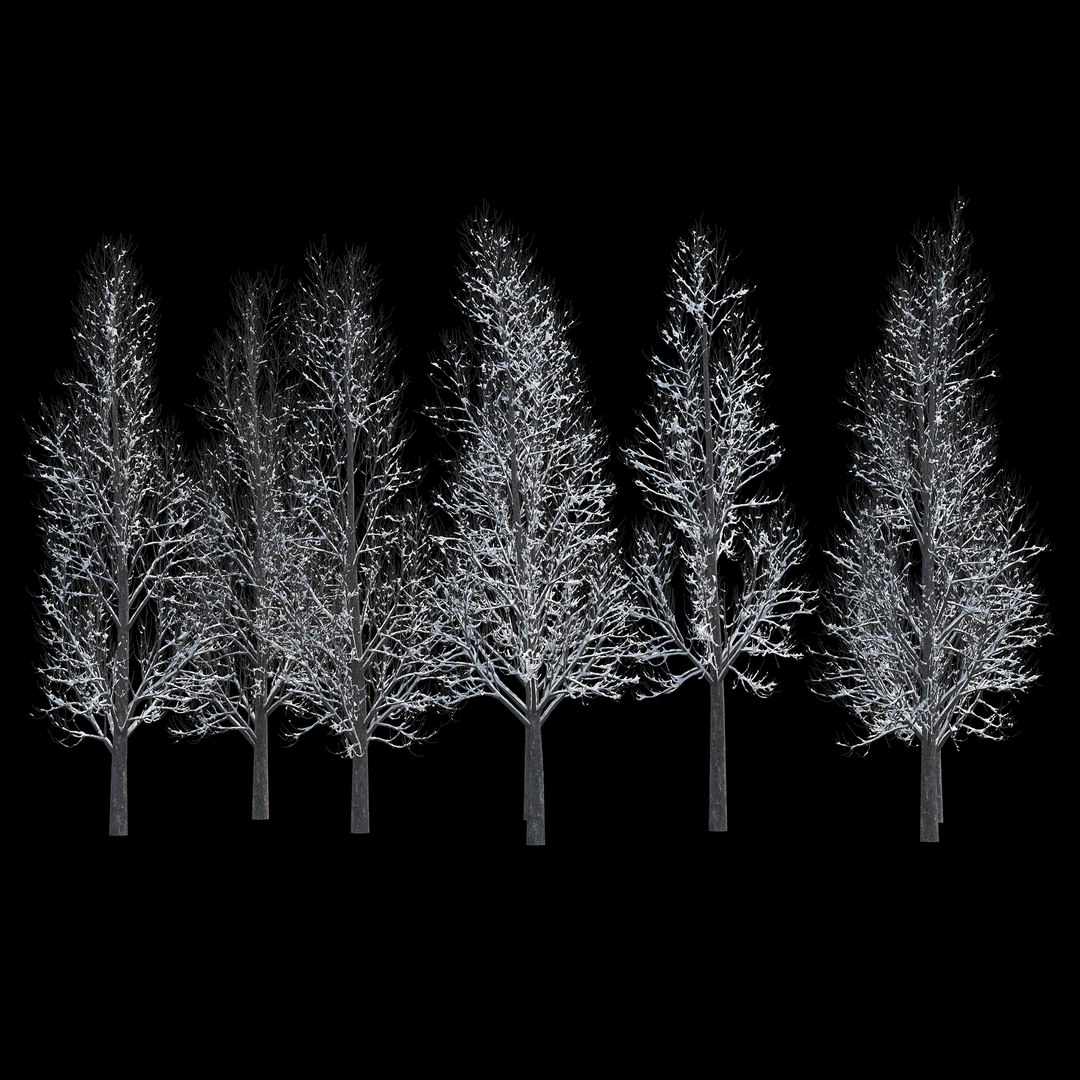 Winter tree 018 3D model - TurboSquid 1230435