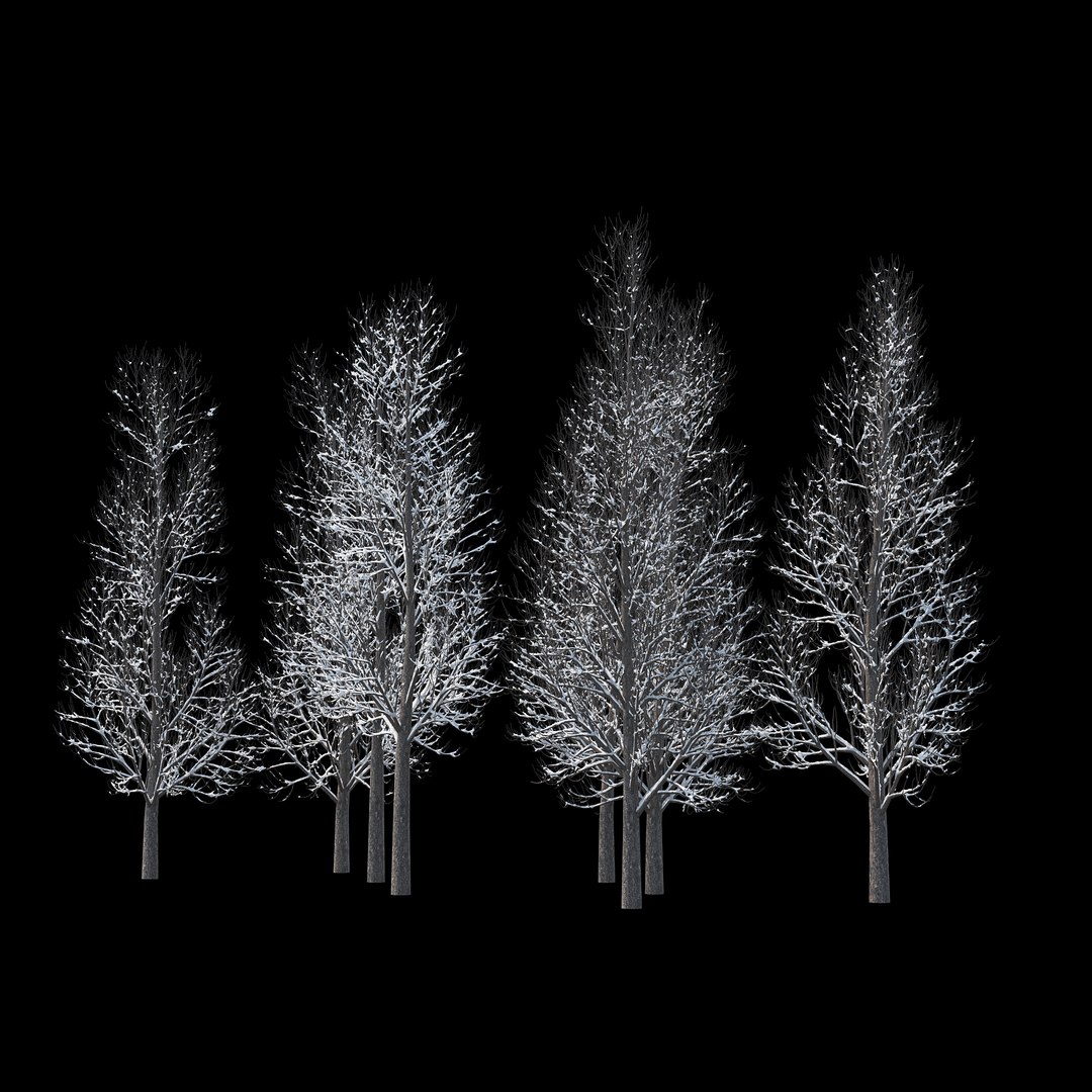 Winter tree 018 3D model - TurboSquid 1230435