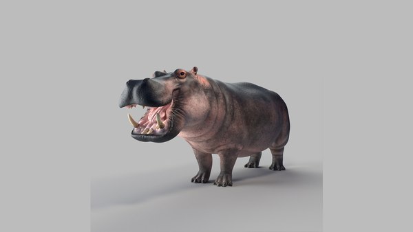 3D hippo rigged - TurboSquid 1616252