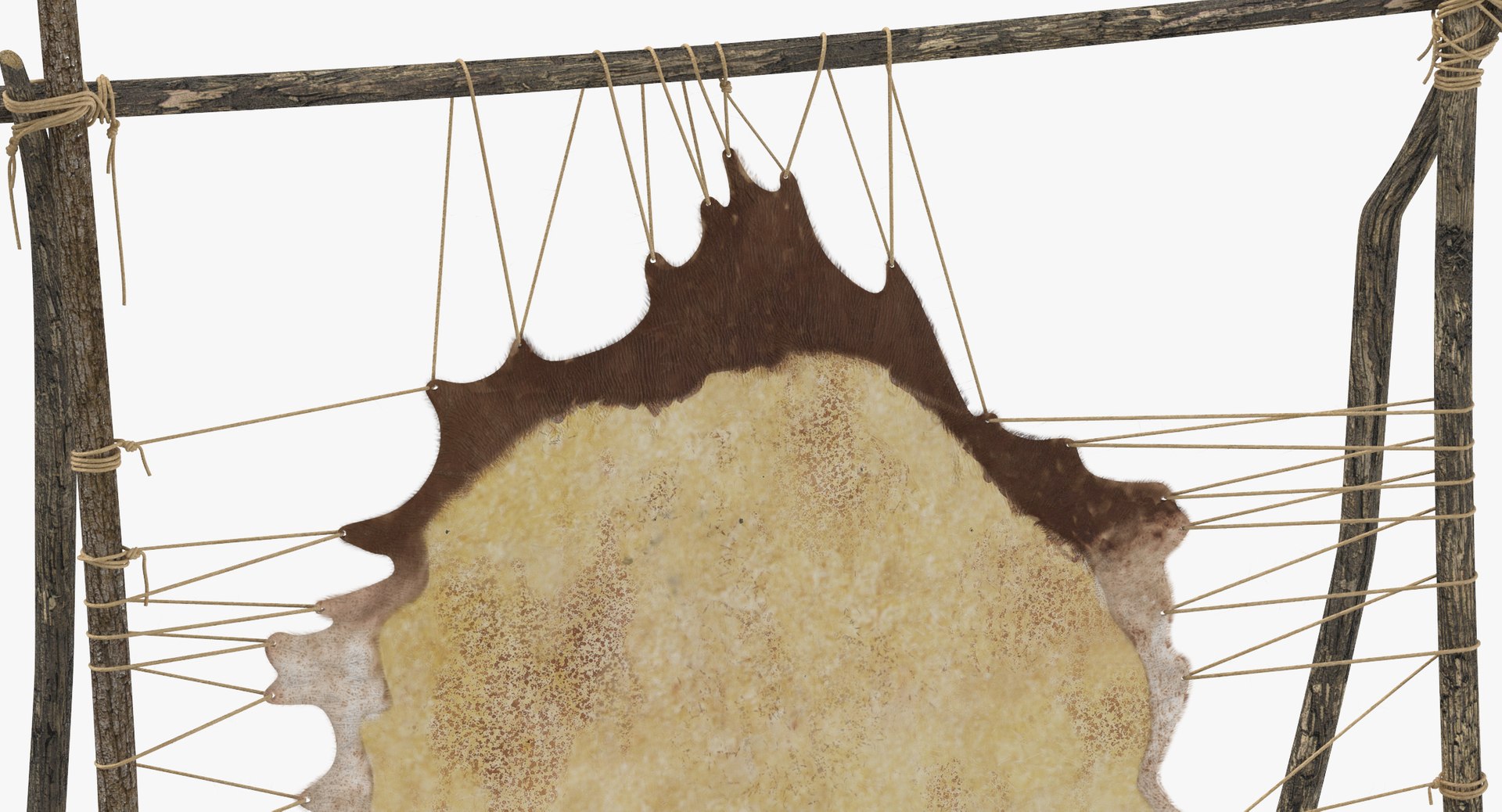 3d Leather Tanning Rack