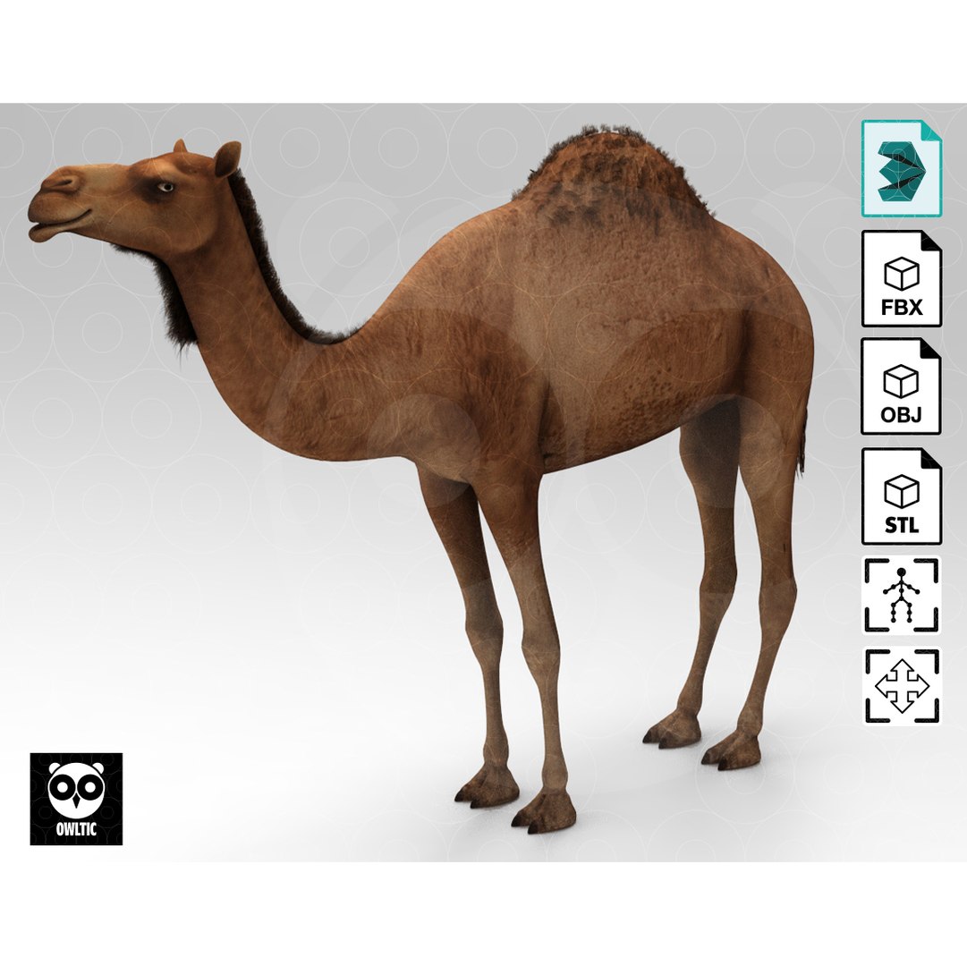 3D Wild Animal Pack - Animated - TurboSquid 2189732