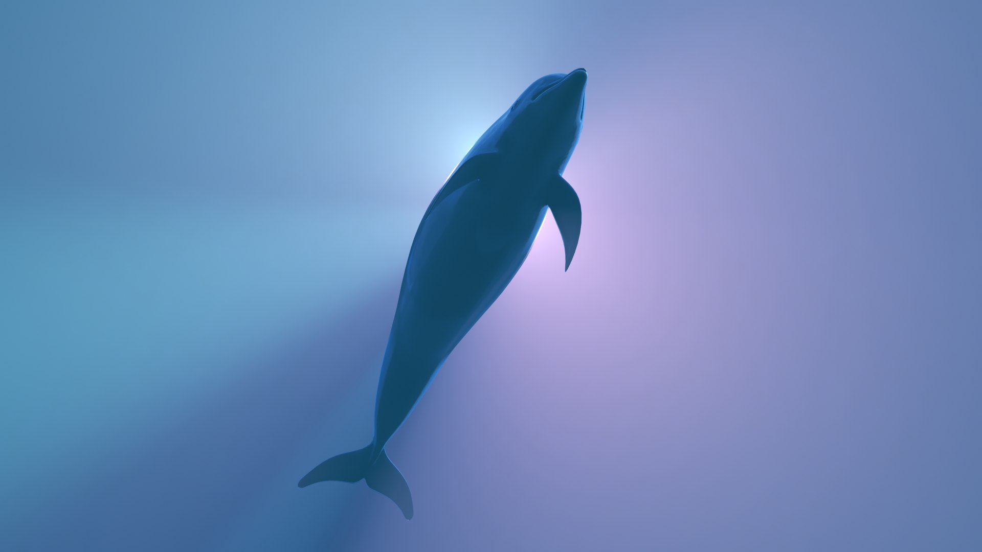 Dolphin - Low-poly Rigged 3D Model 3D Model - TurboSquid 2055846