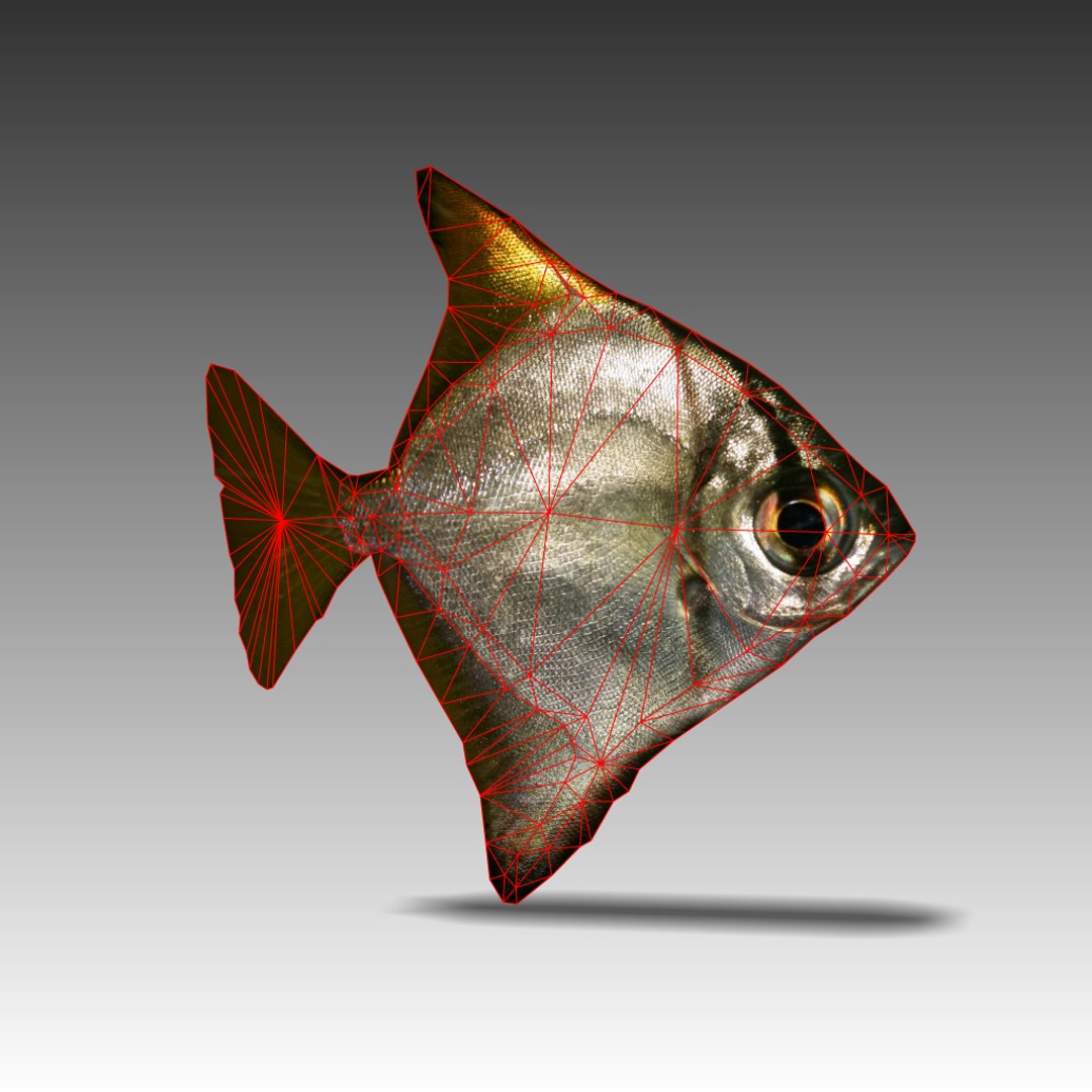 3d Model Pack Fishes