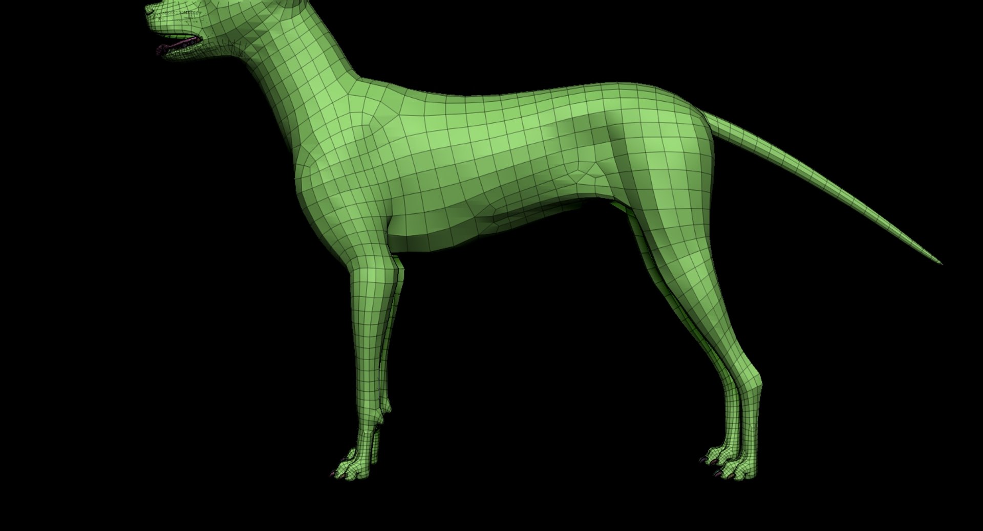 Dog Base Mesh Animal Model - TurboSquid 1523153