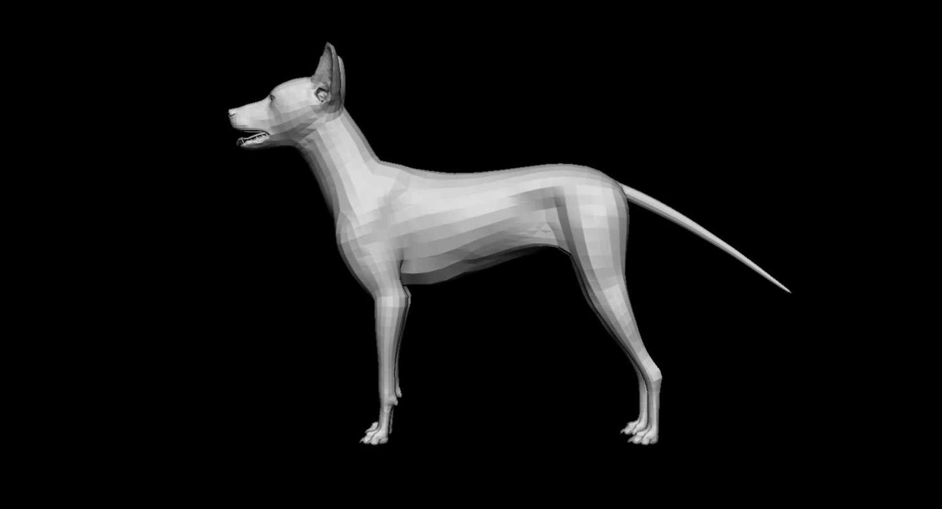 Dog Base Mesh Animal Model - TurboSquid 1523153