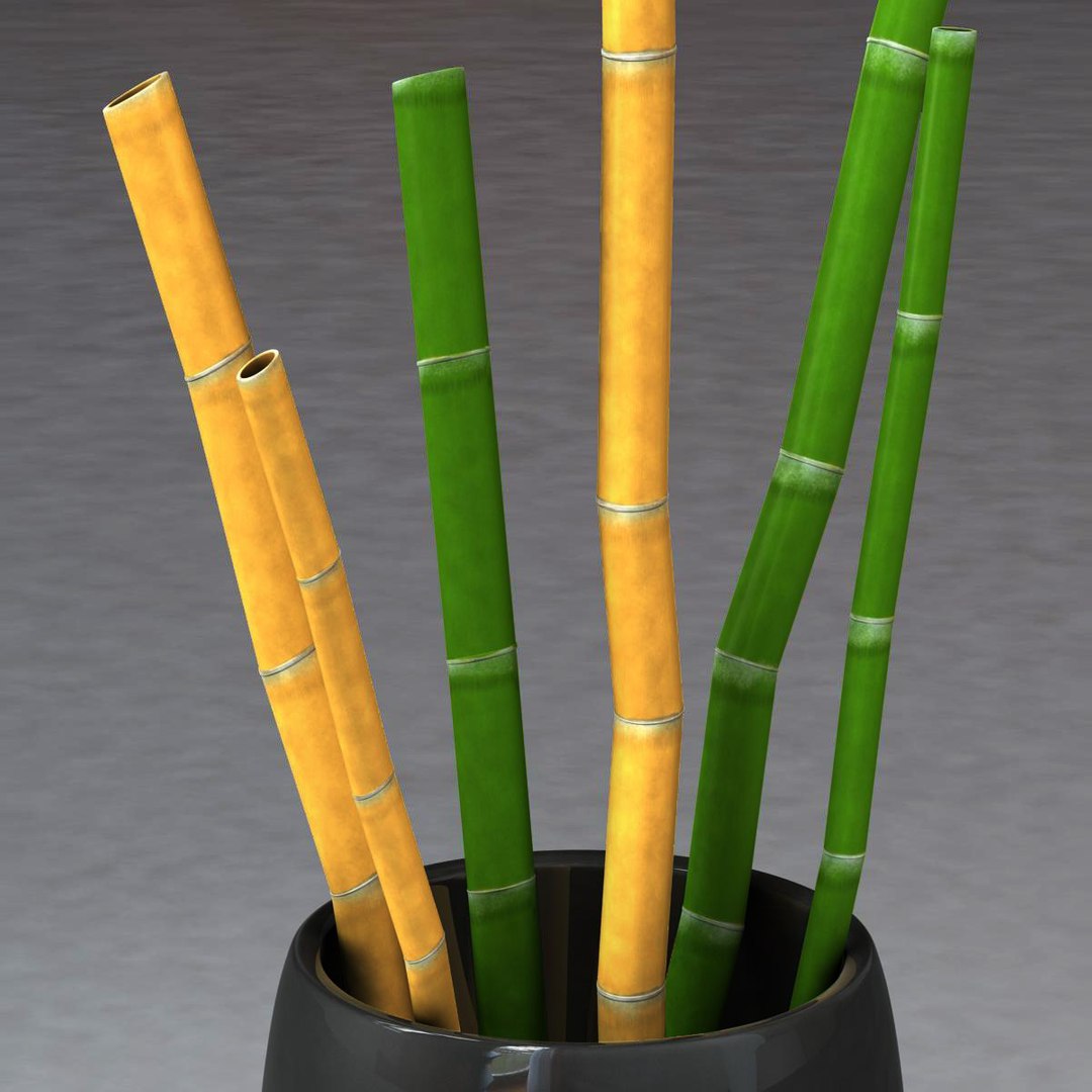 Bamboo 3d Max