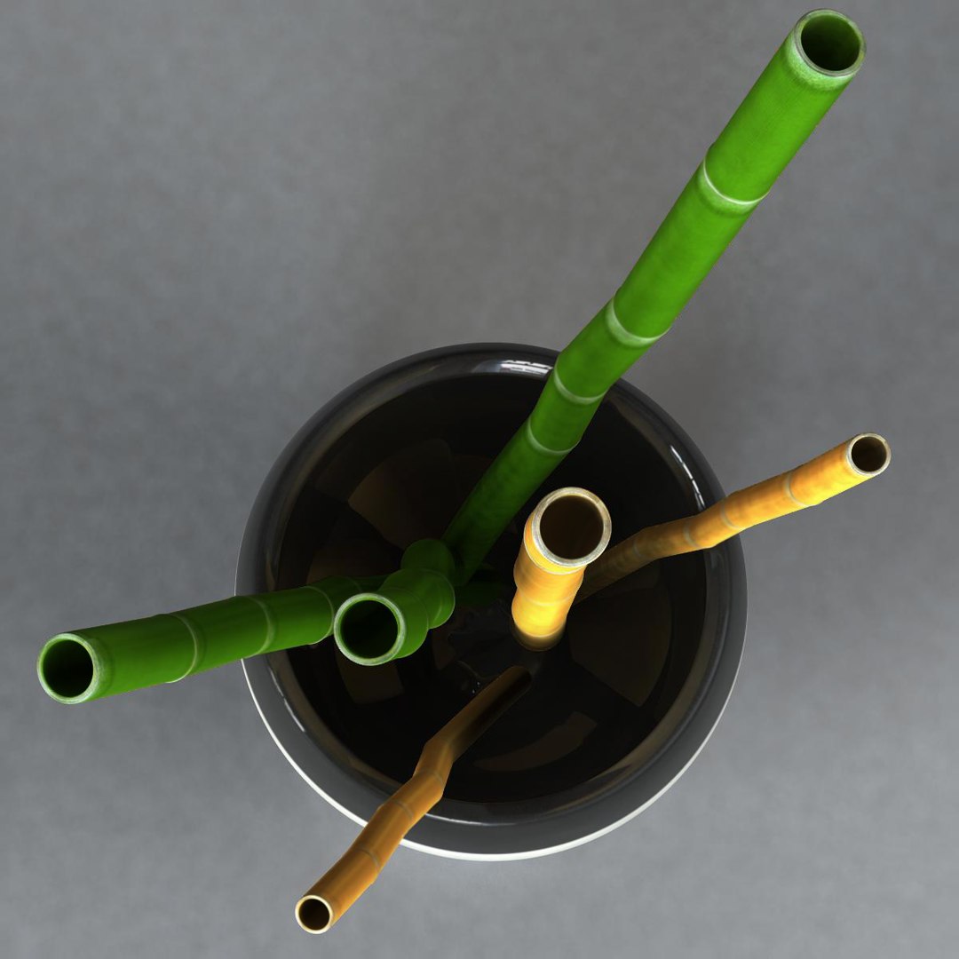 Bamboo 3d Max