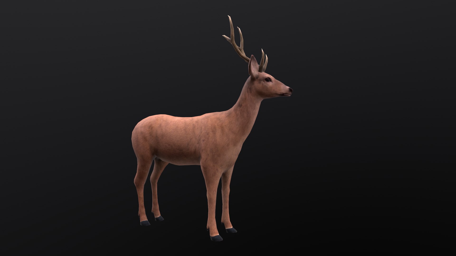 modelo 3d animated deer stag elk - TurboSquid 1940835