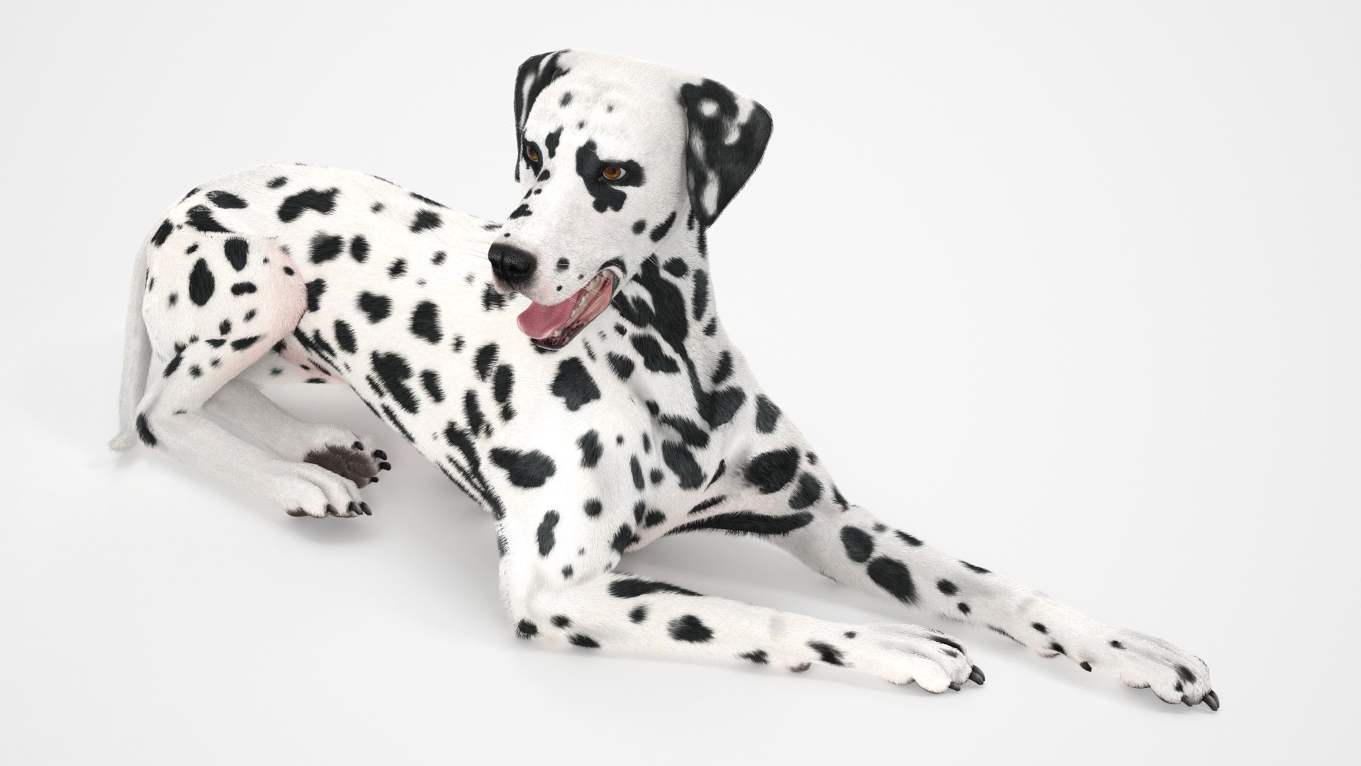 Spotted Lying Dalmatian Dog Fur 3D Model - TurboSquid 2235528