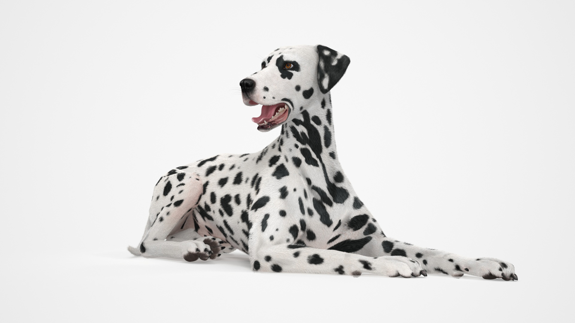 Spotted Lying Dalmatian Dog Fur 3D Model - TurboSquid 2235528