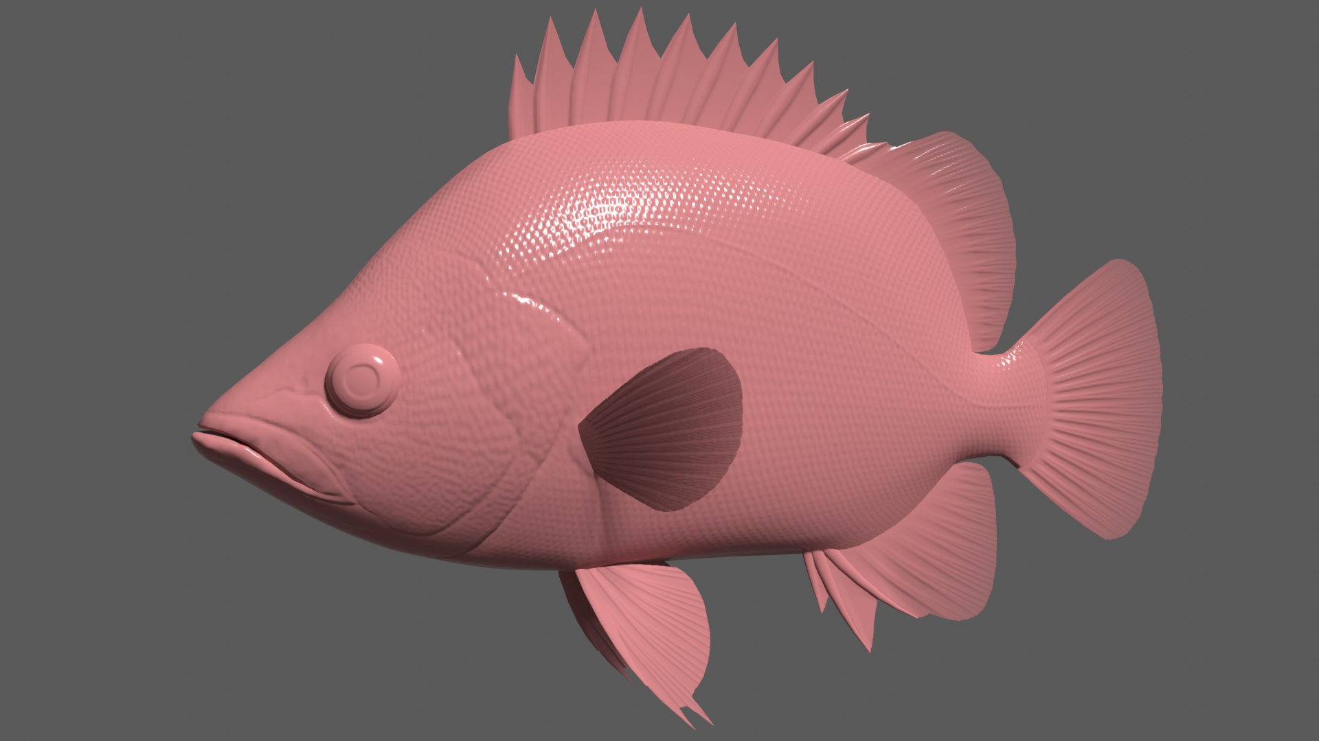 3ds Max Siamese Tiger