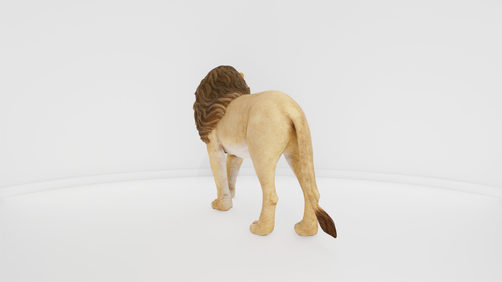 Wild Realistic Lion 3D Model - TurboSquid 2572586