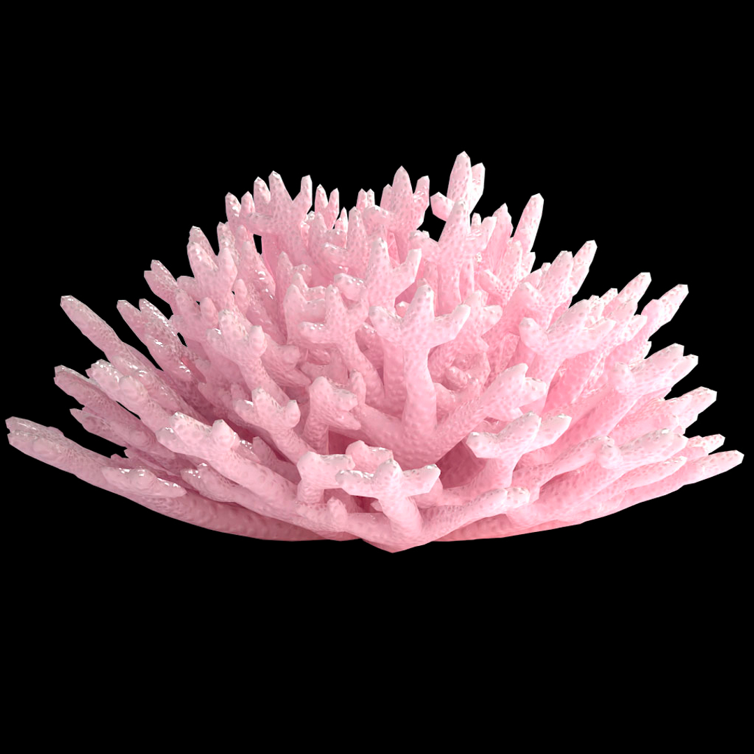3D corals fishes - TurboSquid 1314557