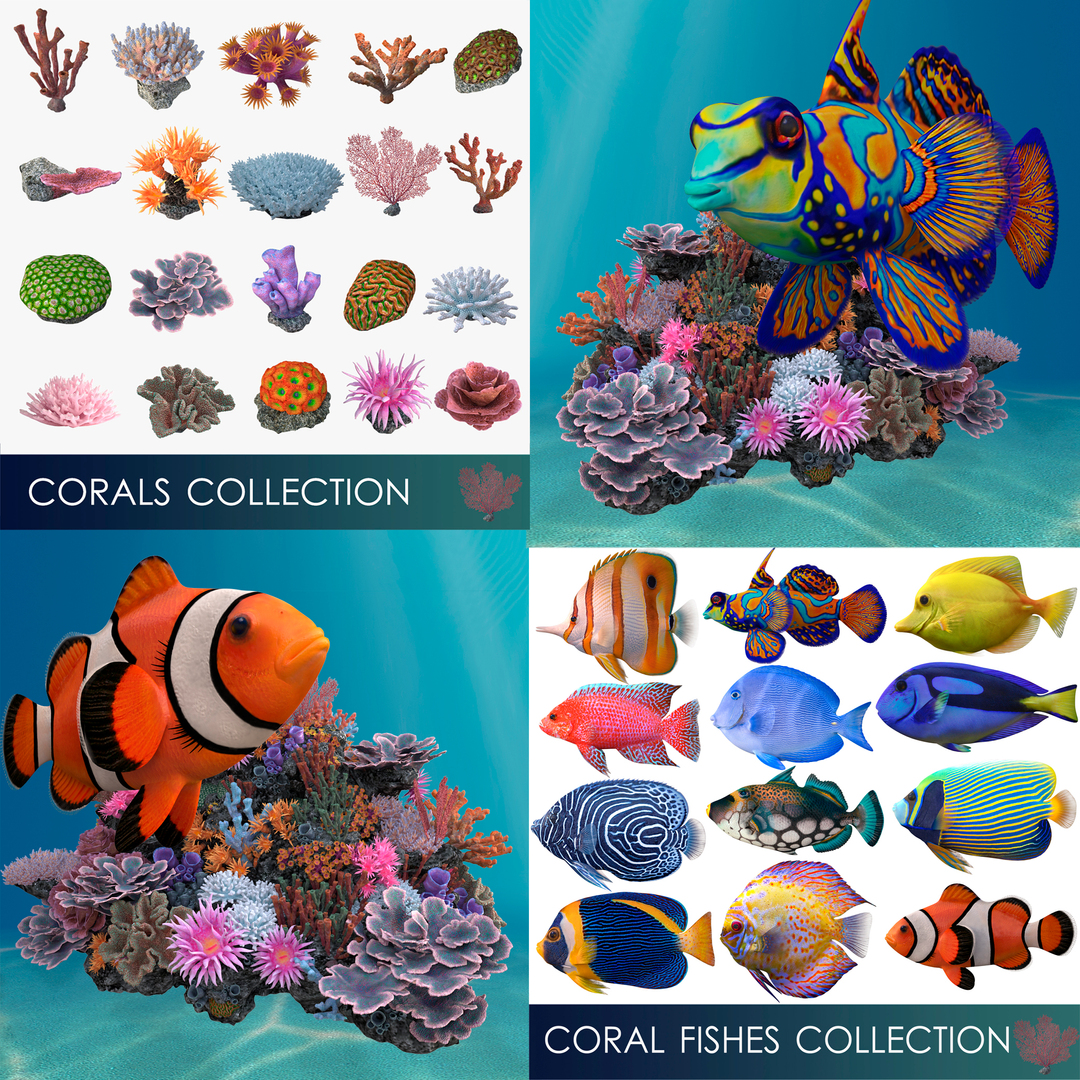 3D corals fishes - TurboSquid 1314557