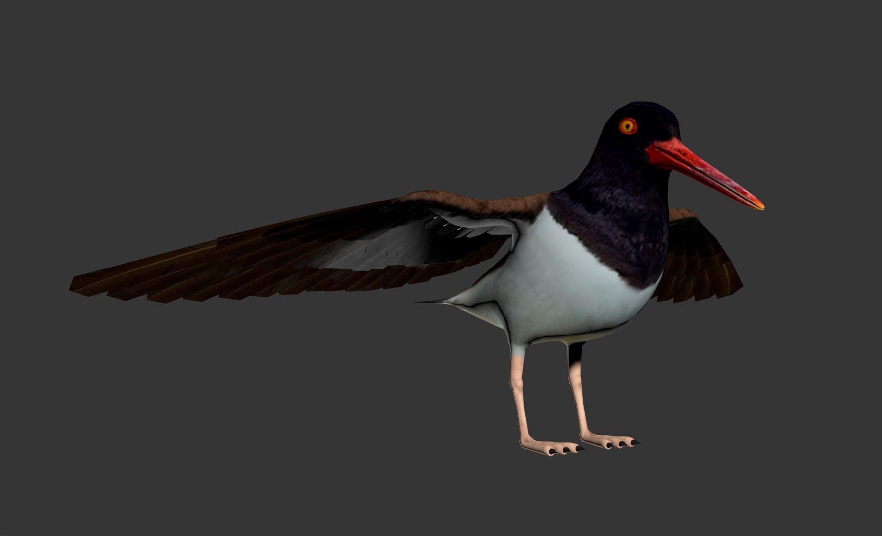 3D Pilpilen Comun Model - TurboSquid 2142880