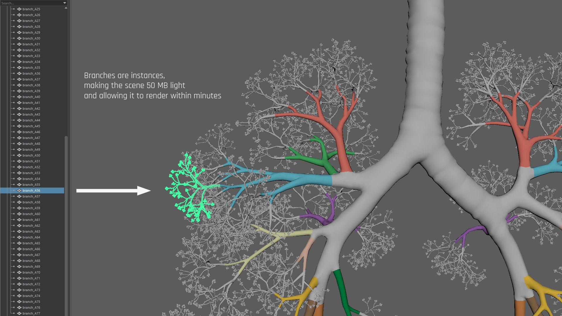 Lungs Trachea 3D Model - TurboSquid 1546197