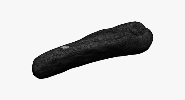 Pebble 06 raw scan 3D model - TurboSquid 1542317