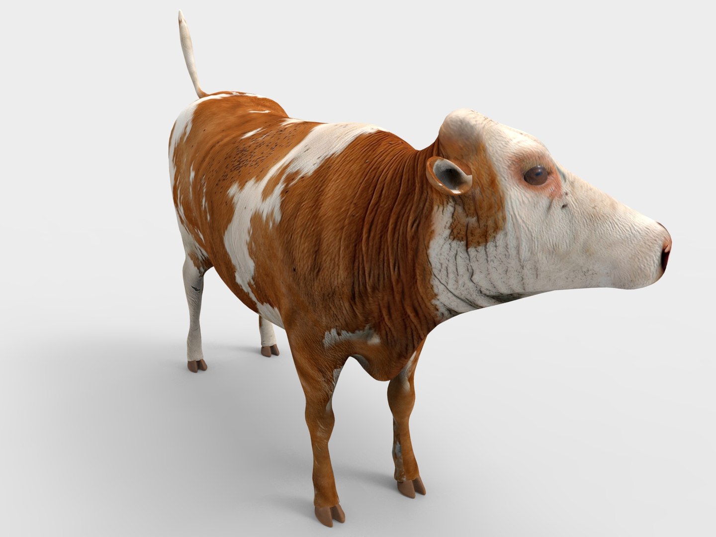 Cow Rigged 3D Model - TurboSquid 1197227