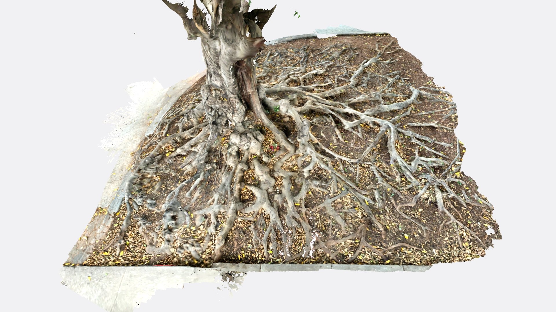 3D Model Roots Arch - TurboSquid 1968019