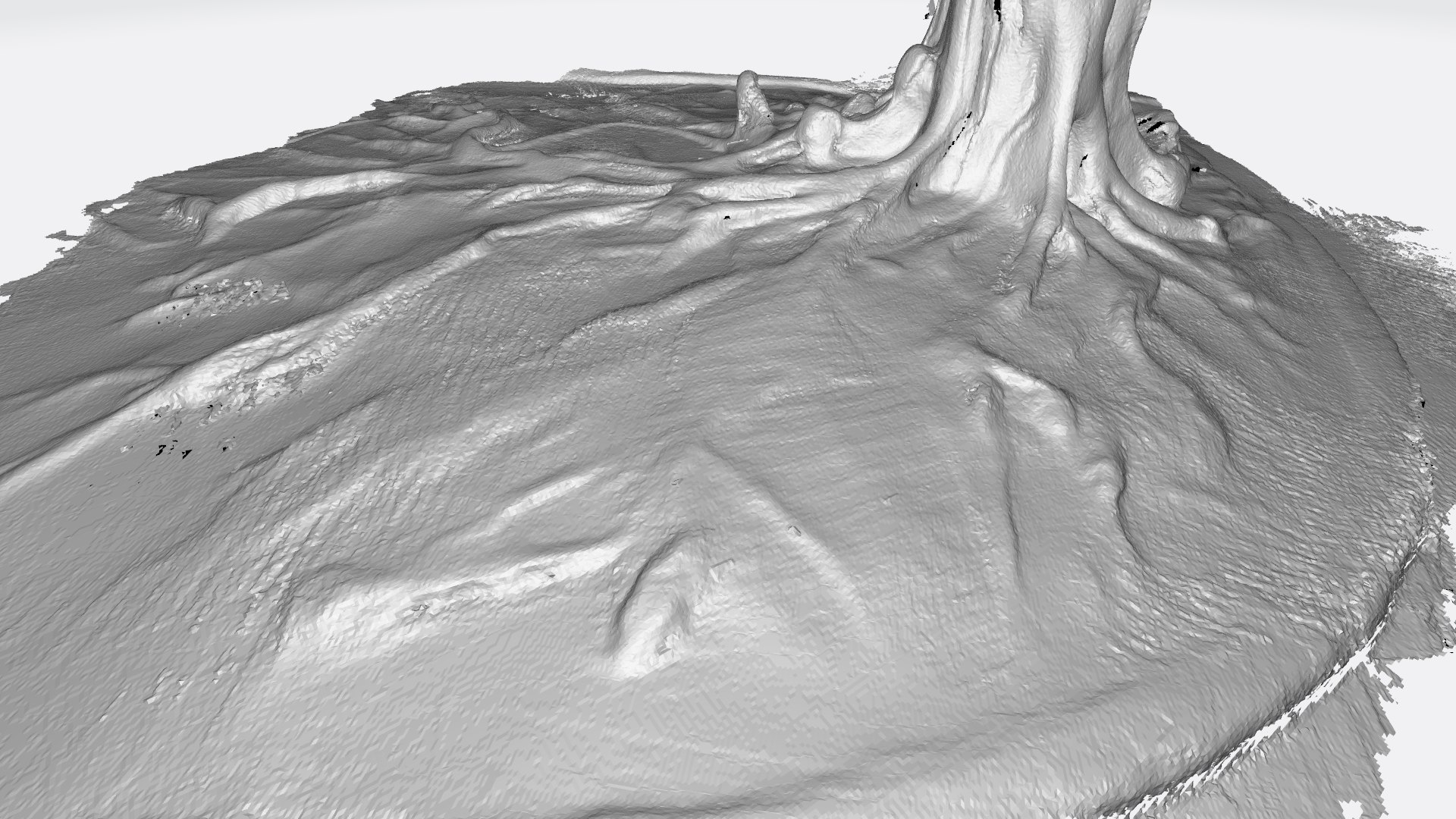 3D Model Roots Arch - TurboSquid 1968019