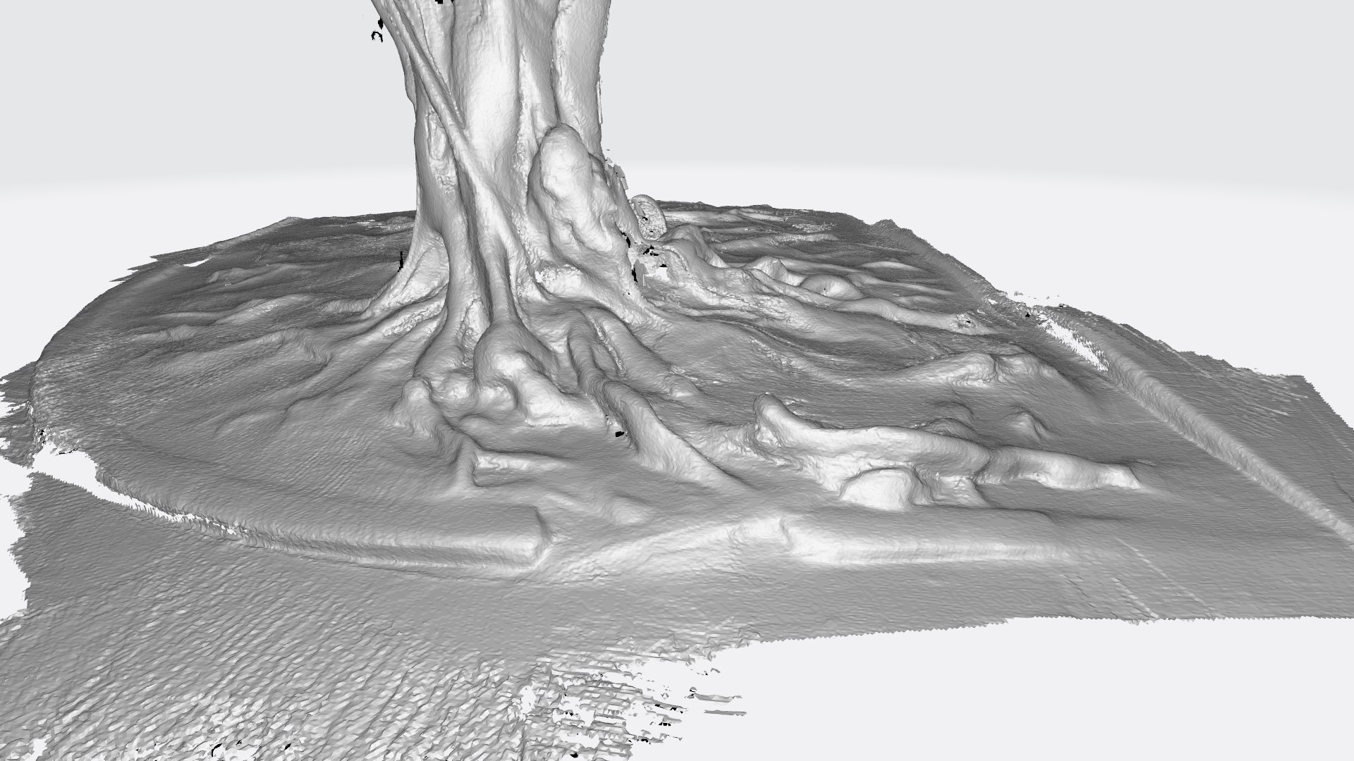 3D Model Roots Arch - TurboSquid 1968019