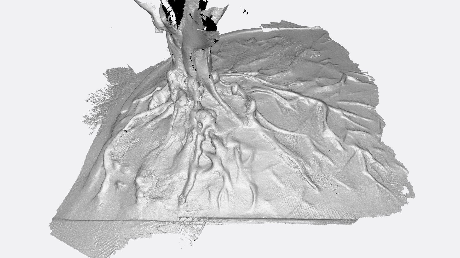 3D Model Roots Arch - TurboSquid 1968019