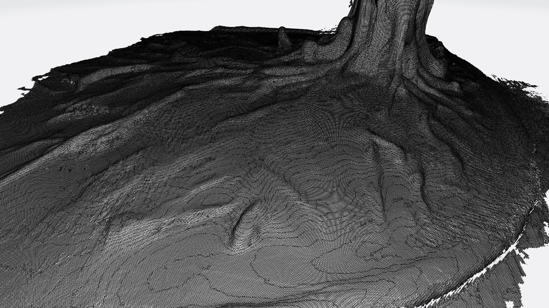 3D Model Roots Arch - TurboSquid 1968019