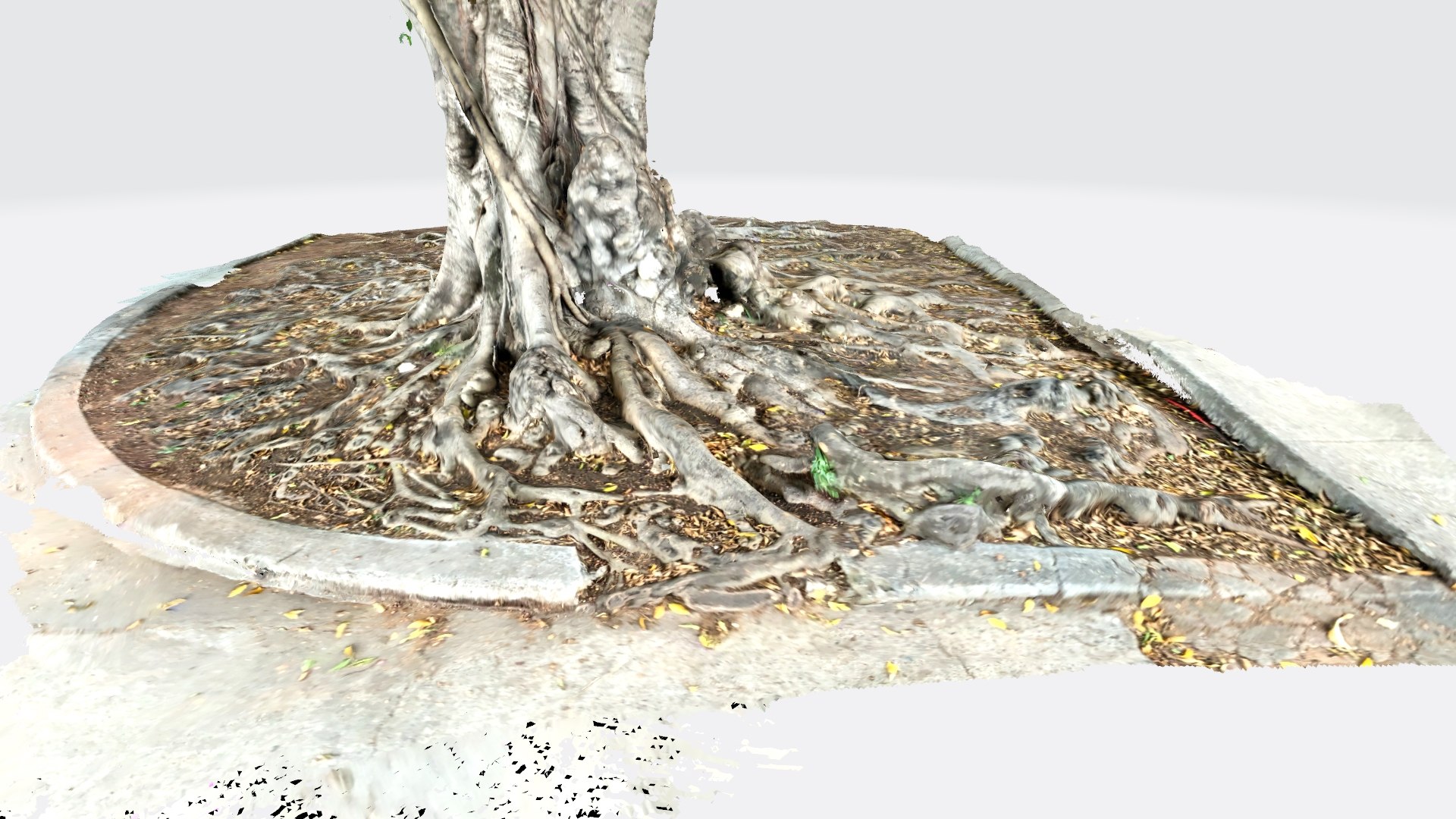 3D Model Roots Arch - TurboSquid 1968019