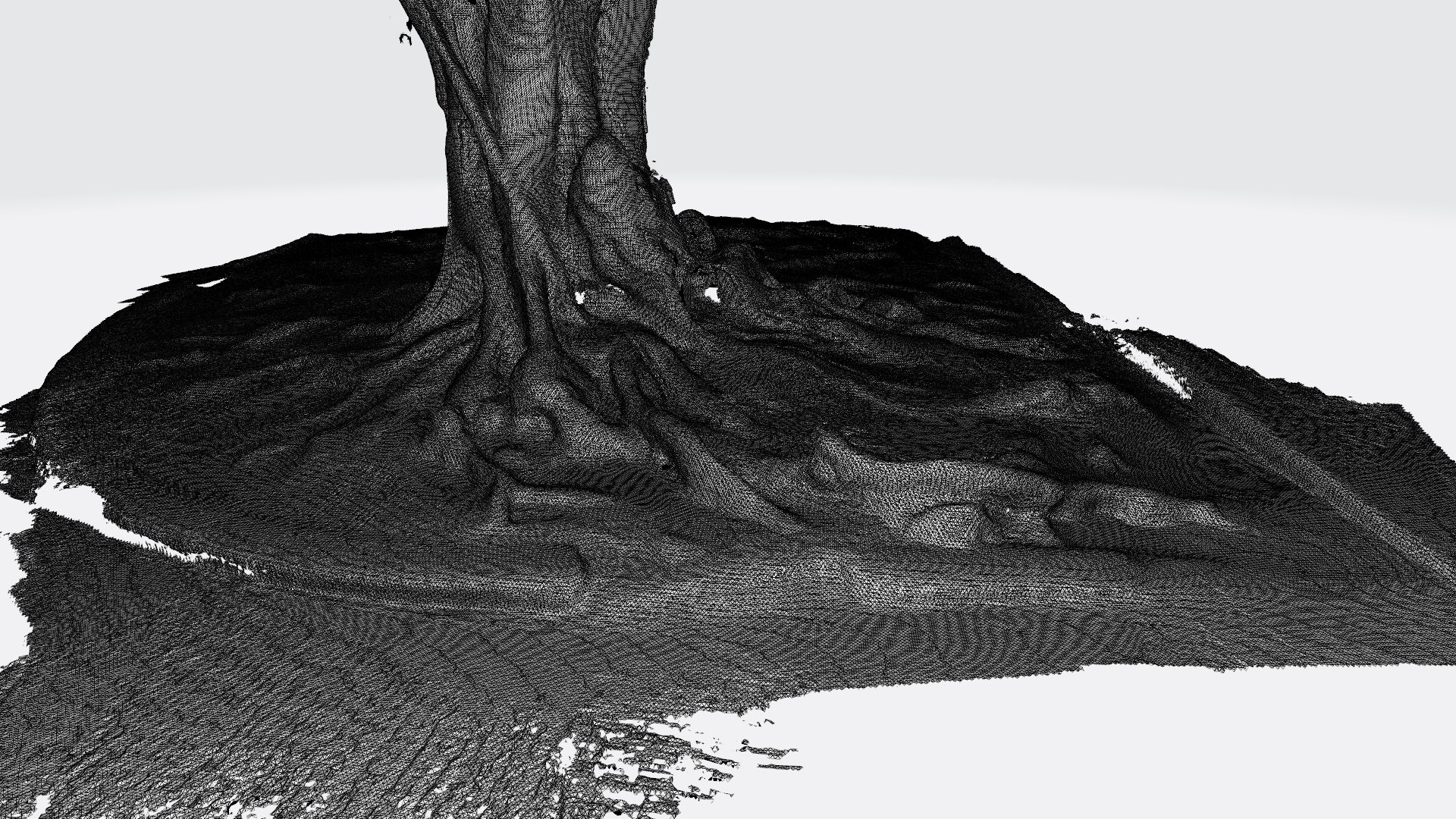 3D Model Roots Arch - TurboSquid 1968019