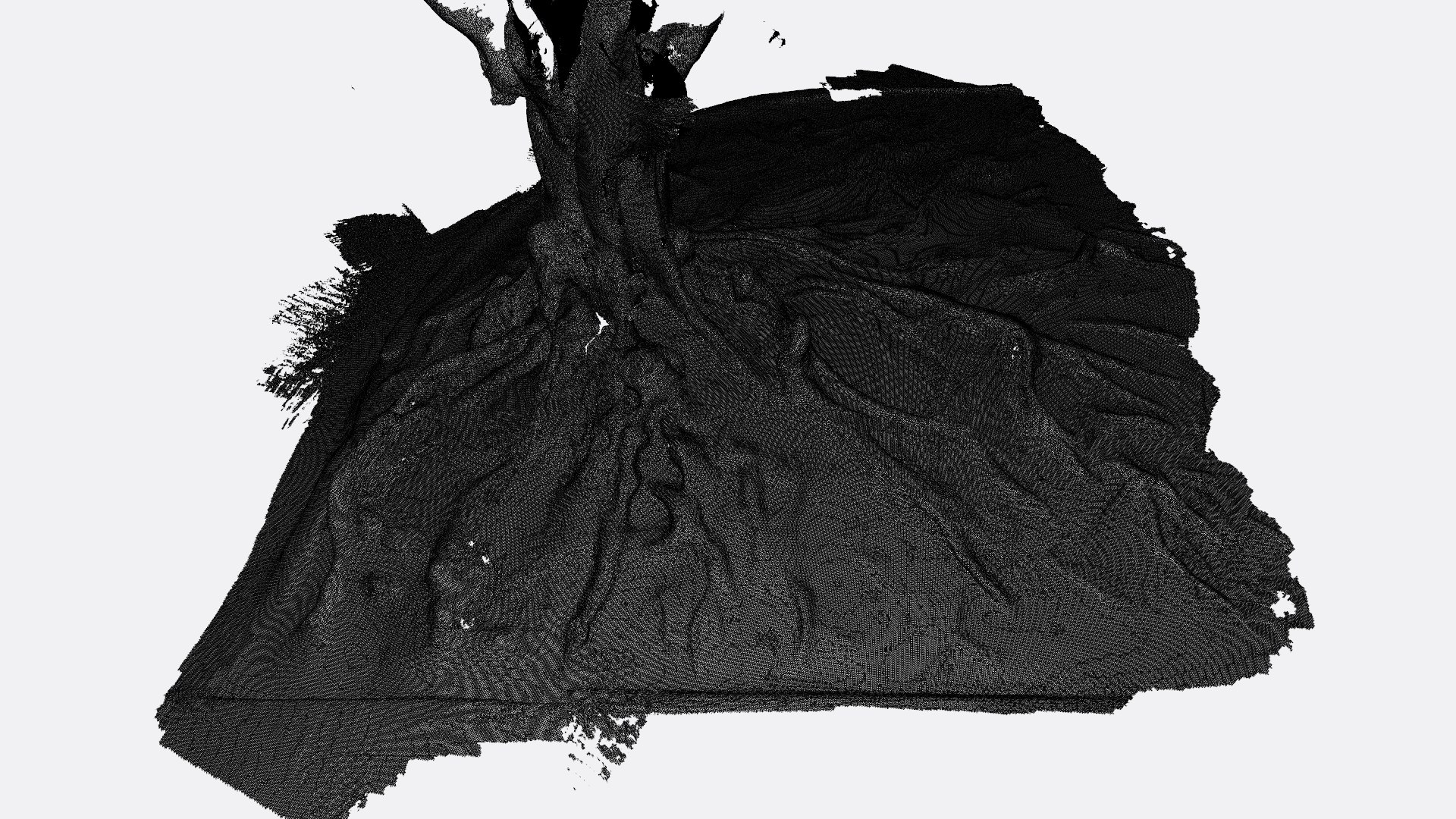 3D Model Roots Arch - TurboSquid 1968019