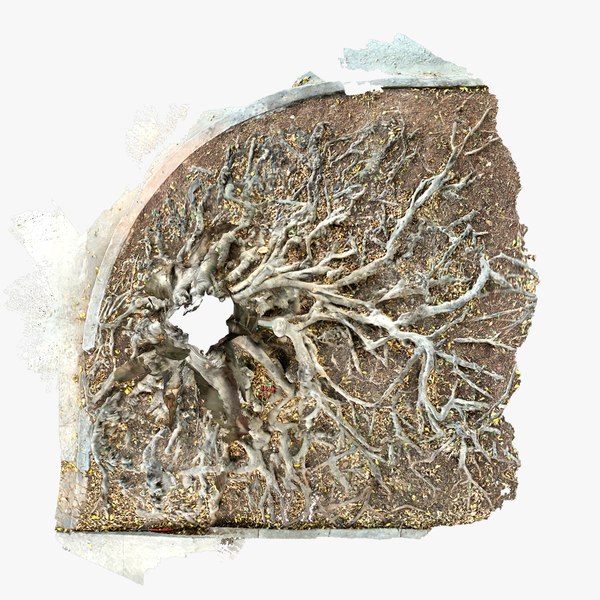 modelo 3d Roots Arch - TurboSquid 1968019