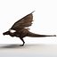 3d Dragon Wyvern