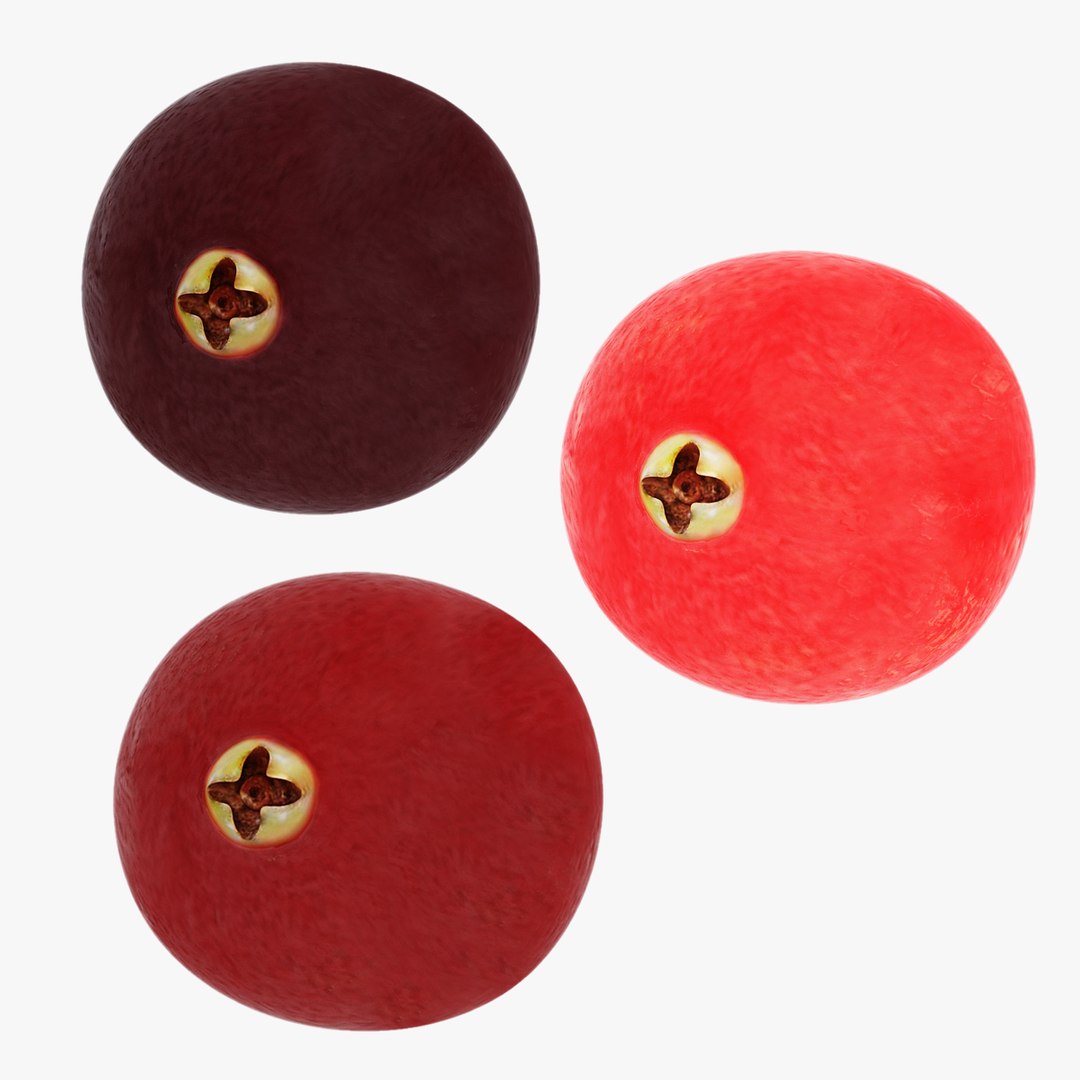 Cranberries 3D Model - TurboSquid 1873168