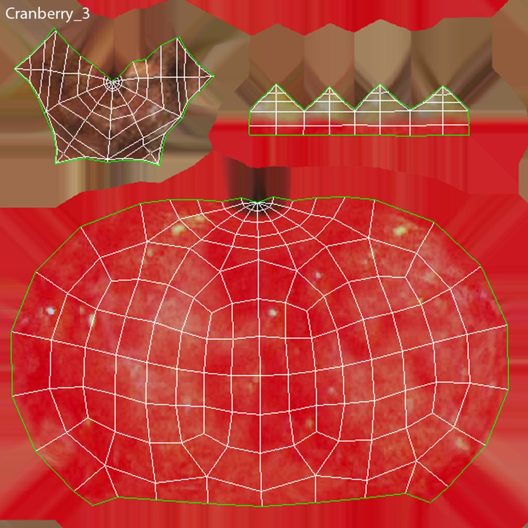 Cranberries 3D Model - TurboSquid 1873168