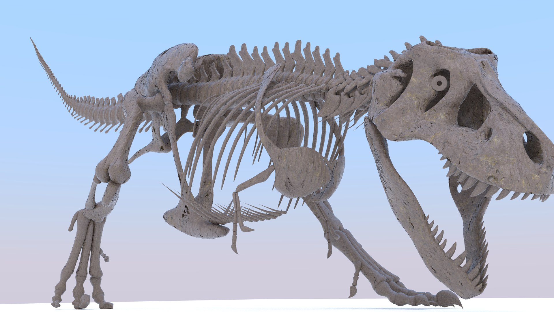 Tyrannosaurus Skeleton Walking Cycle 3D - TurboSquid 1193816