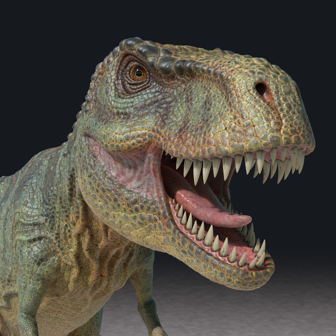 3d T-rex Rex