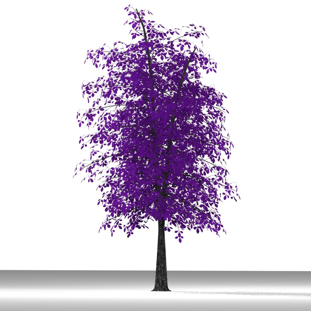 3d plane tree