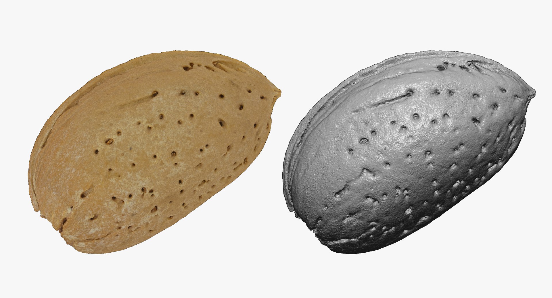 3D Almonds With Shell Collection 02 - 3 Models RAW Scans - TurboSquid ...