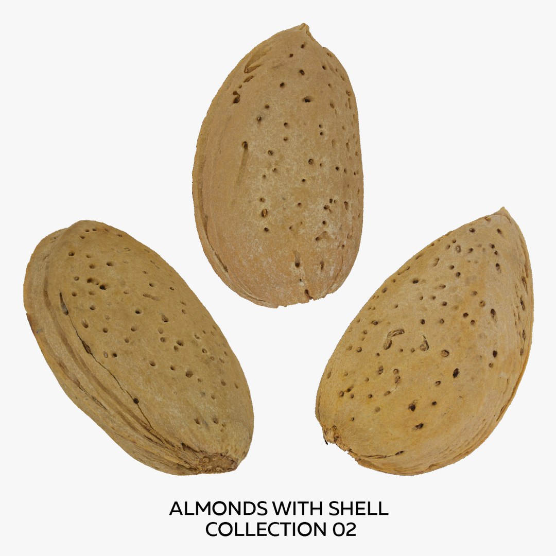 3D Almonds With Shell Collection 02 - 3 Models RAW Scans - TurboSquid ...