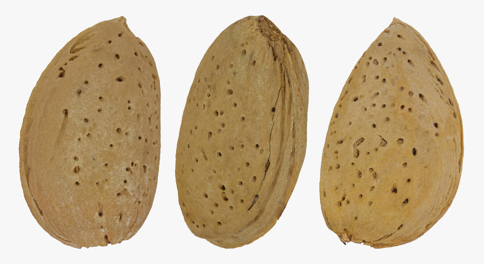 3D Almonds With Shell Collection 02 - 3 Models RAW Scans - TurboSquid ...