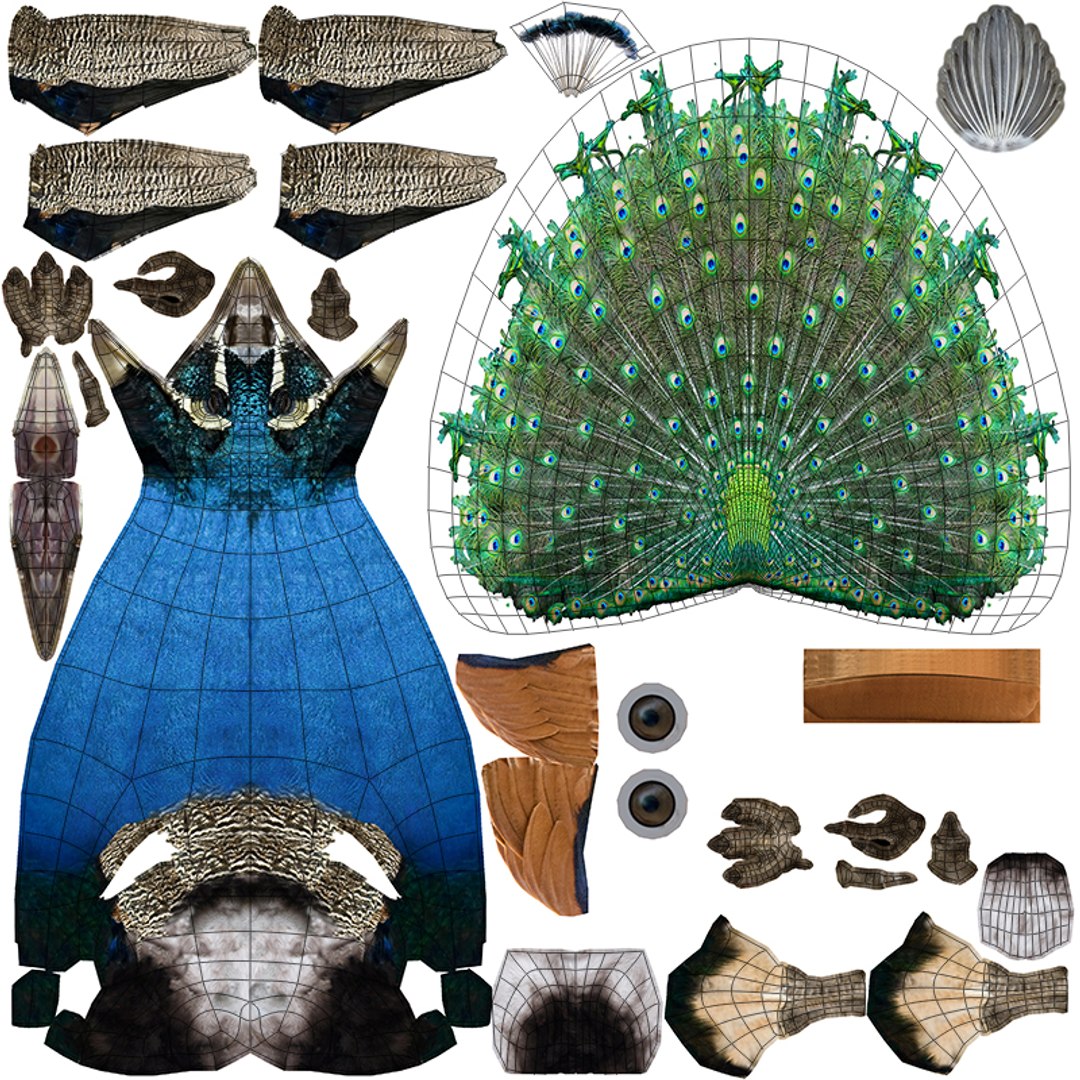 Peacock Tail Fan Max