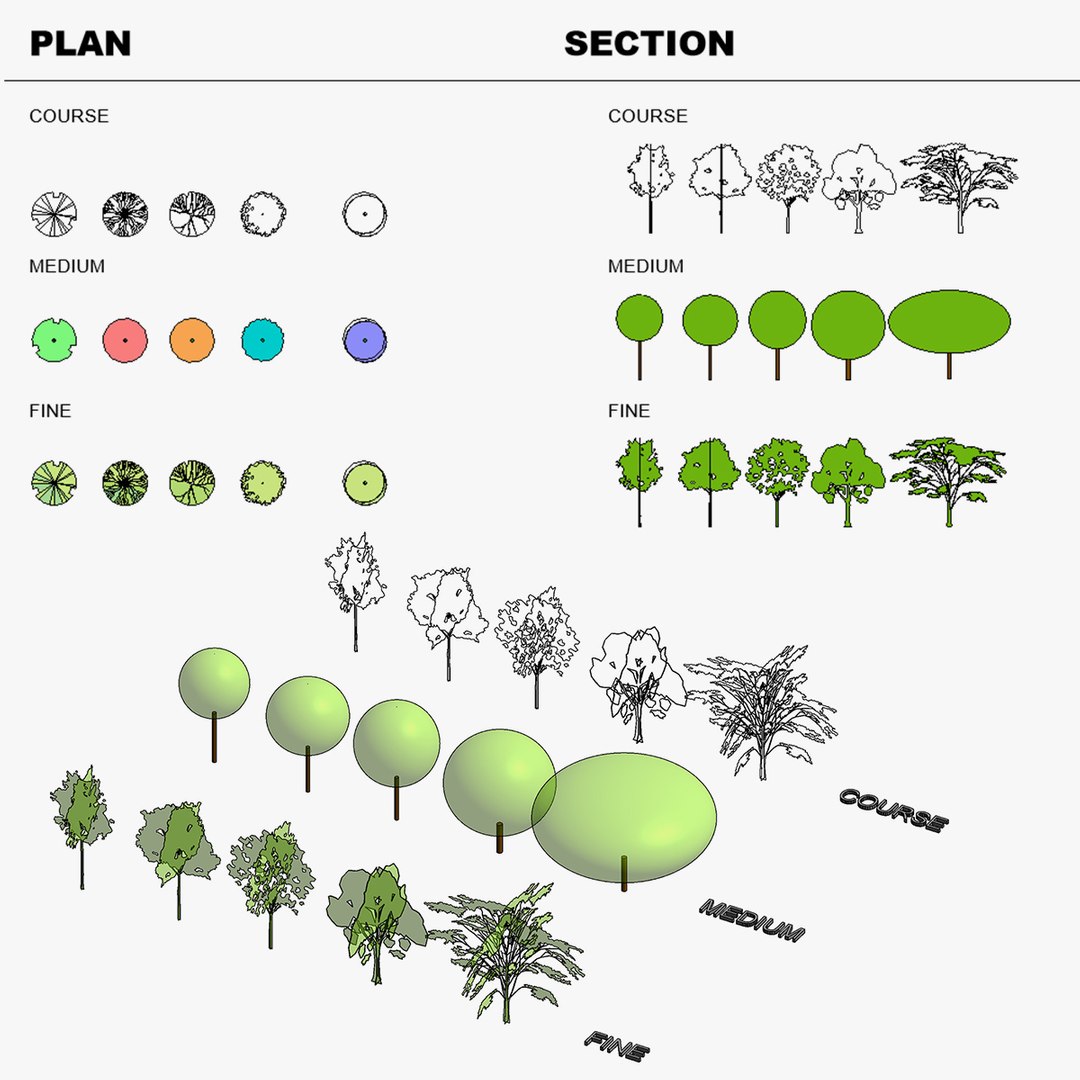 Fully-Customizable Revit 2022 Tree Family 3D model Modelo 3D ...
