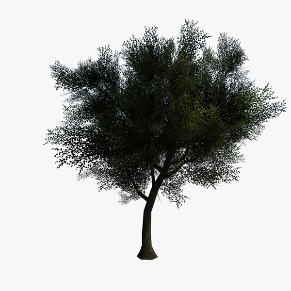 max ready tree generated