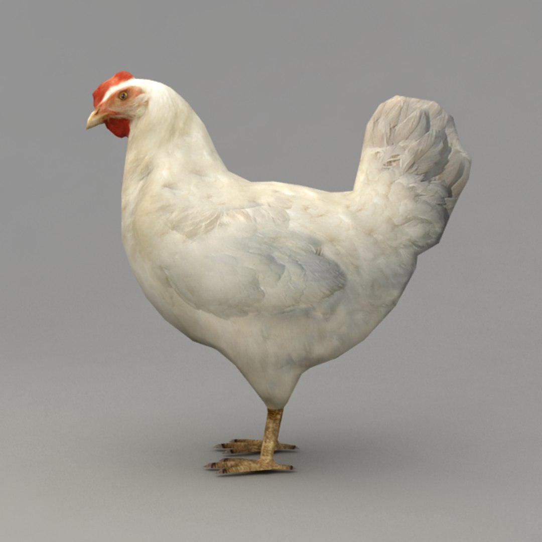 3d model rigged chicken