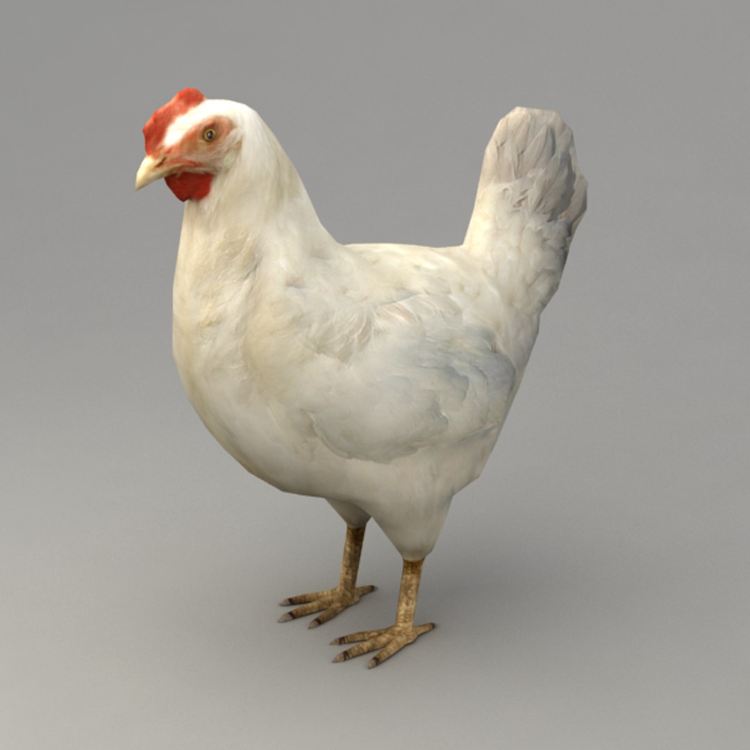 3d model rigged chicken